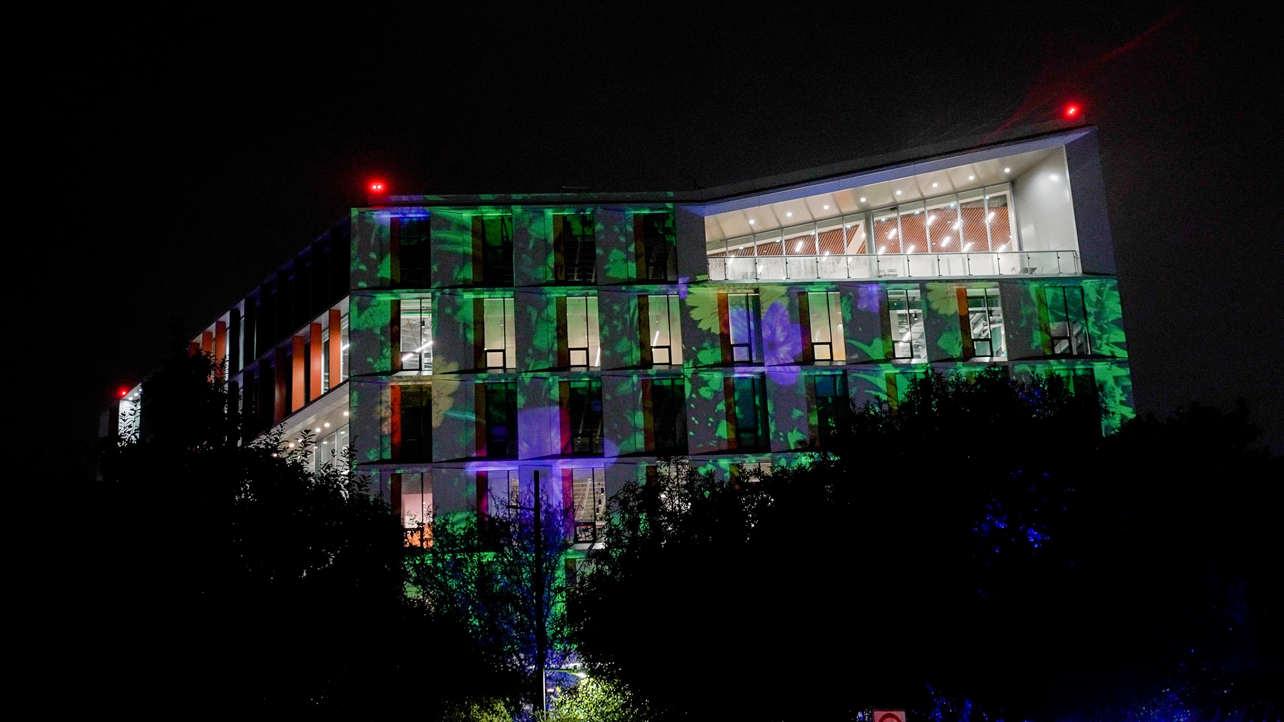 expedition - Miniaturas